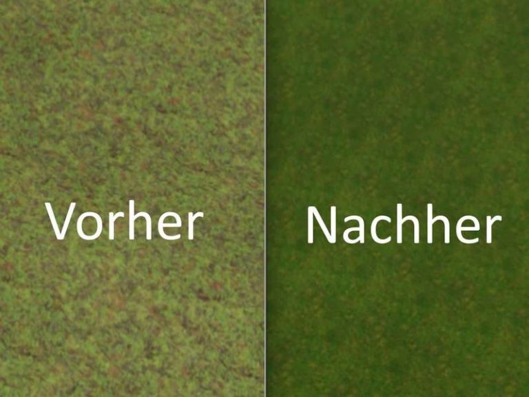 Terrain texture grass v1.0.0.0 LS22 Mod / LS25 Mods