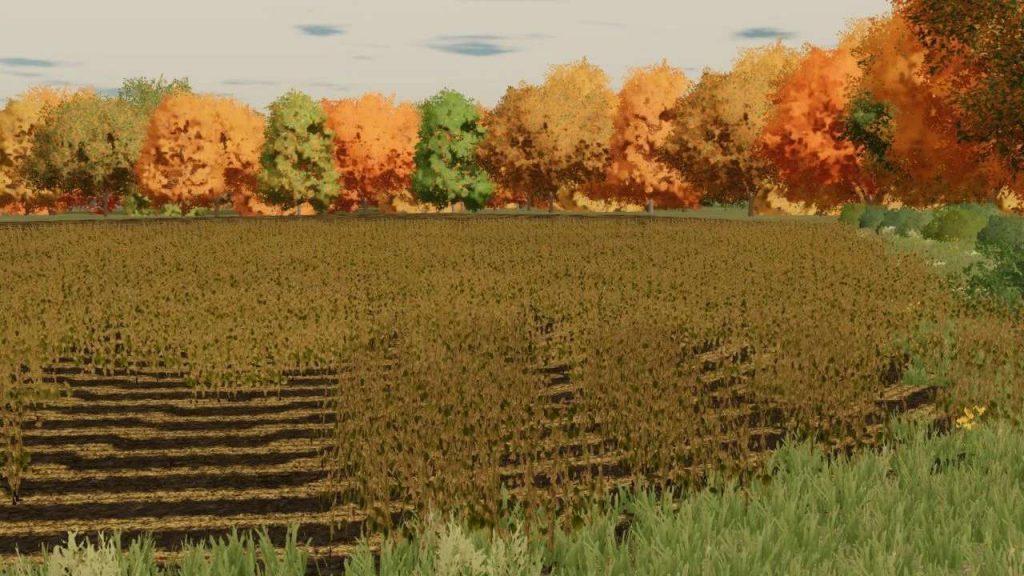 Graystone Farm (Row Crop Ready) v1.0.0.0 LS22 Mod / LS25 Mods