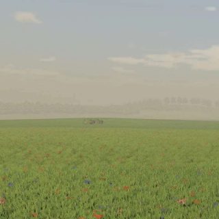 Flat map BETA v1.0.0.0 LS22 Mod / LS25 Mods