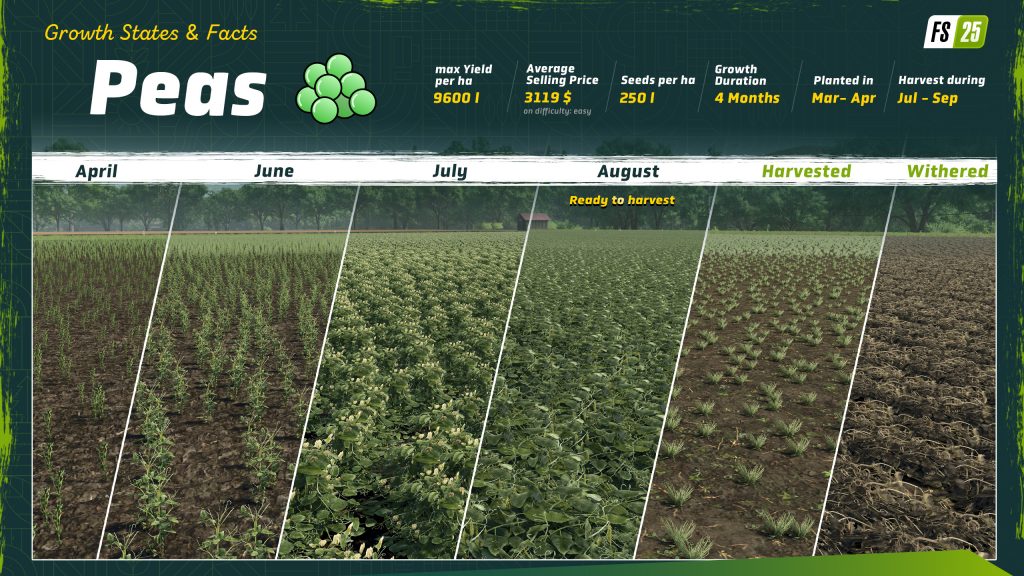 Peas & Beans for Farming Simulator 25: All New Crops Revealed